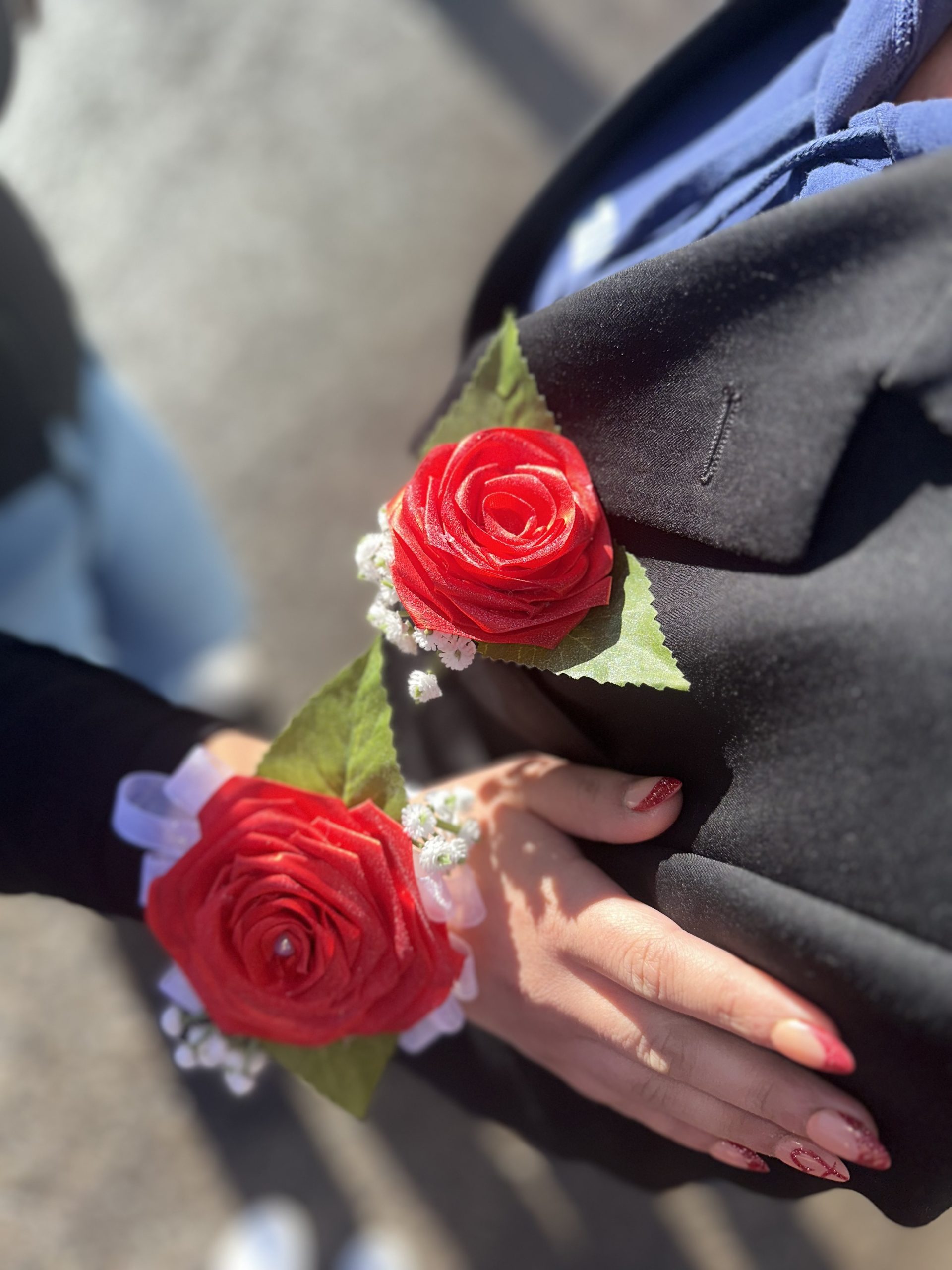 Gooding School District — Home of the Senators